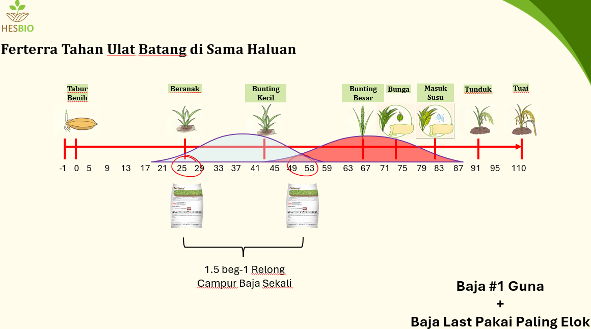 FMC FERTERRA 2KG KAWALAN ULAT BATANG YANG TAHAN LAMA DALAM POKOK PADI ...