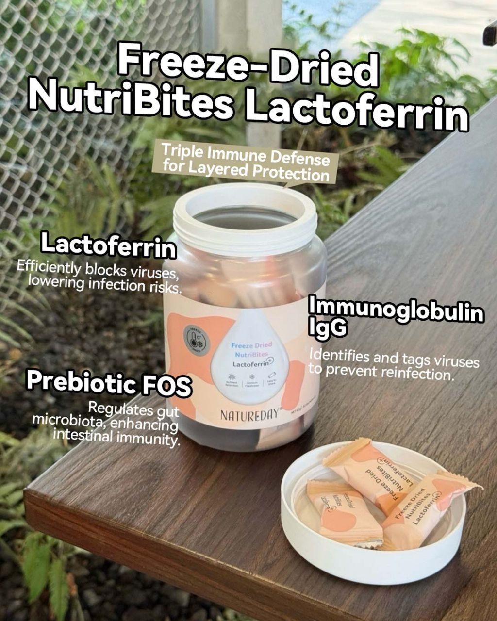 NatureDay NutriBites Fortiq 30pieces/can | Shopee Malaysia