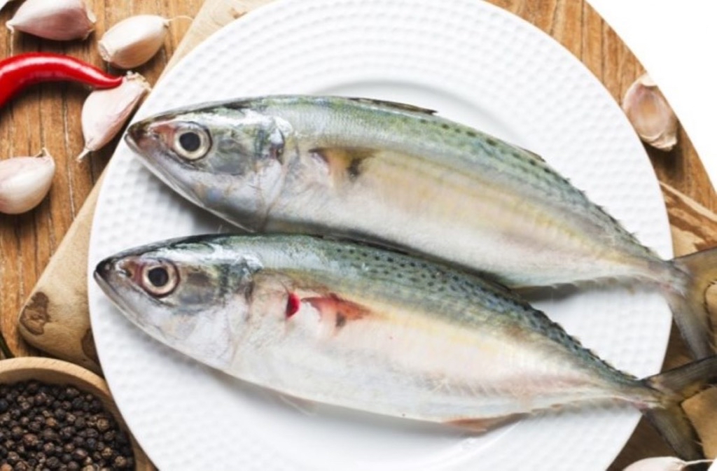 INSTANT DELIVERY - IKAN KEMBUNG SEGAR BESAR SIZE XL - 1 EKOR [300g ...