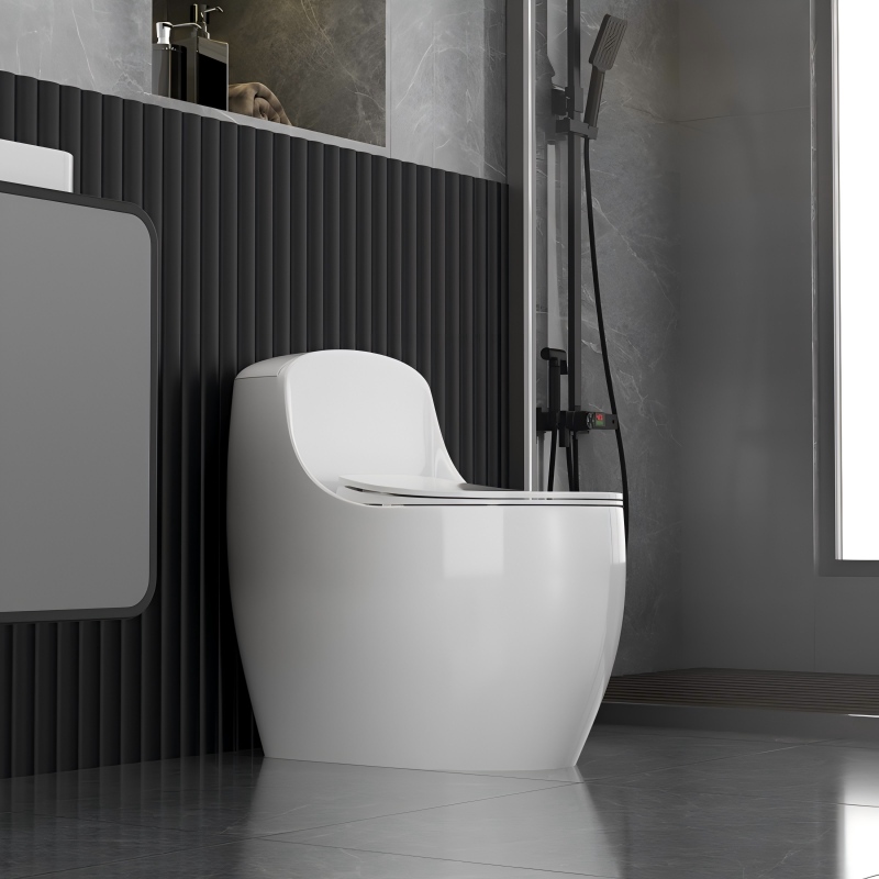 NEXA-66807 Compact One-Piece Toilet with Dual Flush System for Modern ...