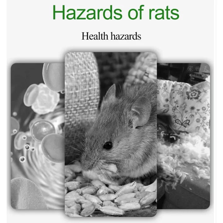 Long-Lasting Effect 100% Expel Insects Rats And Ants Mothballs Strong ...
