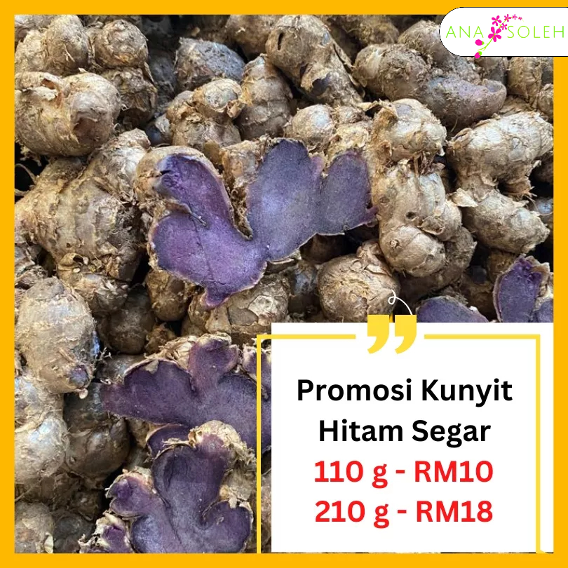 [Ready Stok] 110g Rizom Ubi Kunyit Hitam Halia Hitam 100% Asli | Shopee ...