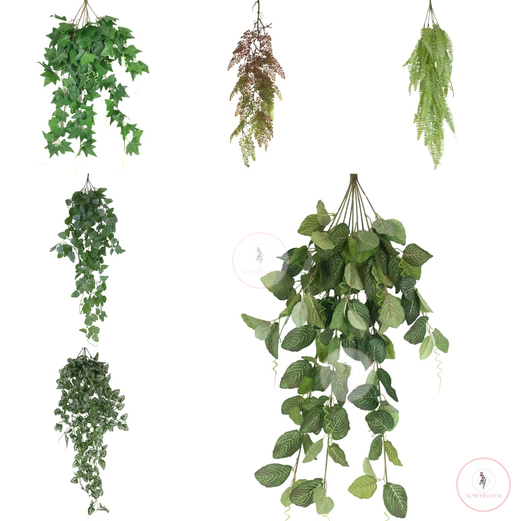 Ivy and Climbing Plants DWG CAD Blocks in Elevation (20+ Pieces ...