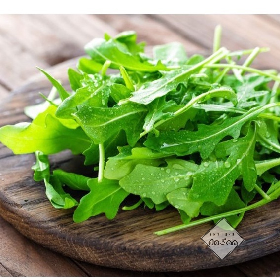 🍃🍃 ARUGULA SEEDS 🍃🍃/ BENIH Gargil 🌱🌱/بذور الجرجير 🍃🍃EGYPTIAN SEEDS ...