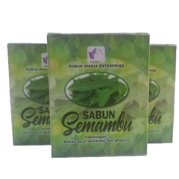 💥 Ready Stock 💥 Sabun Daun Semambu SME 💯 Asli | Shopee Malaysia