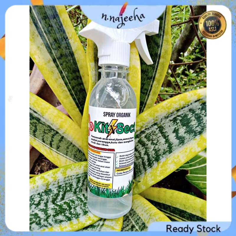 KitSect Spray Organik Lipas Semut Cicak Serangga Tikus | Shopee Malaysia
