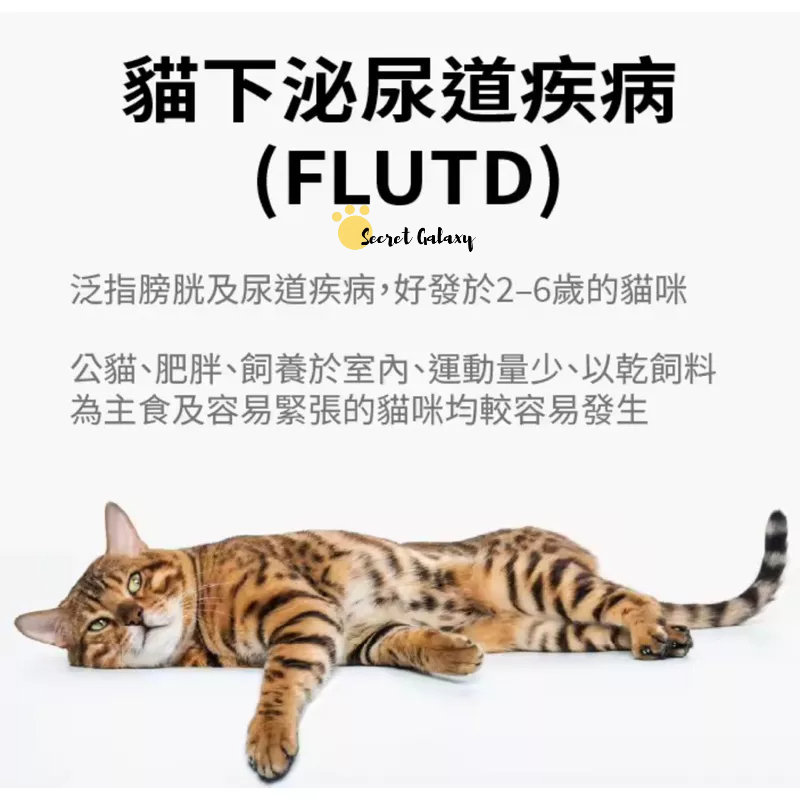 FLUTD Kucing kencing darah self test 10g 猫尿血自检 | Shopee Malaysia