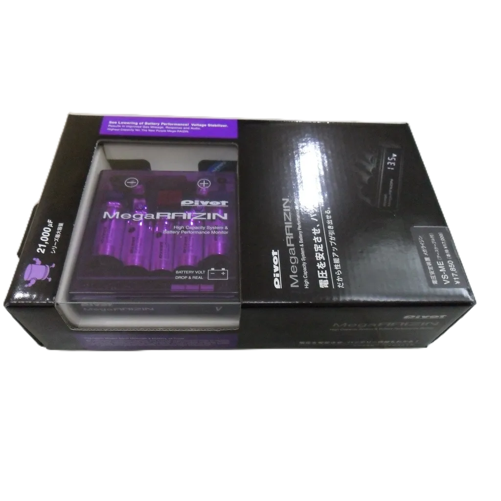 100% Original Pivot Mega Raizin Voltage Stabilizer + 5 Point Grounding ...