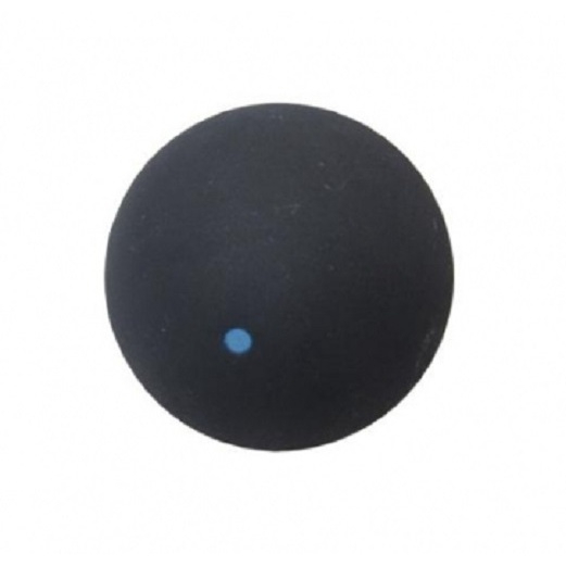 Dunlop Intro Single Blue Dot Squash Ball For Beginners | Shopee Malaysia