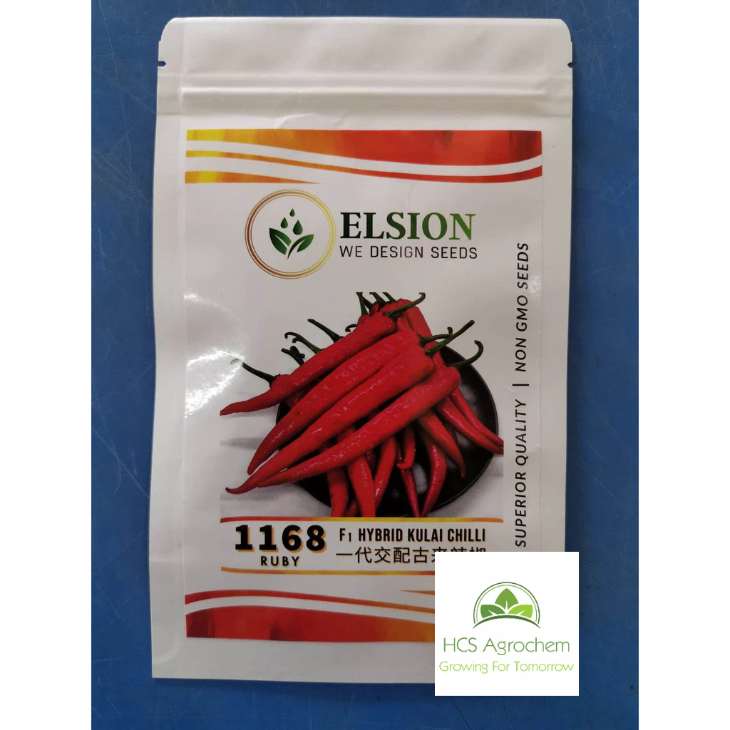 (+-10g) F1 Hybrid Kulai Chili 1168 Ruby 一代交配古來辣椒 NON GMO SEEDS | Shopee ...