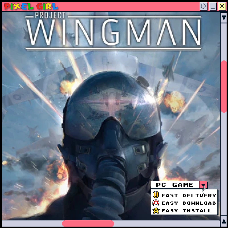 Project Wingman PC Digital Download Offline [PC Game] | Shopee Malaysia