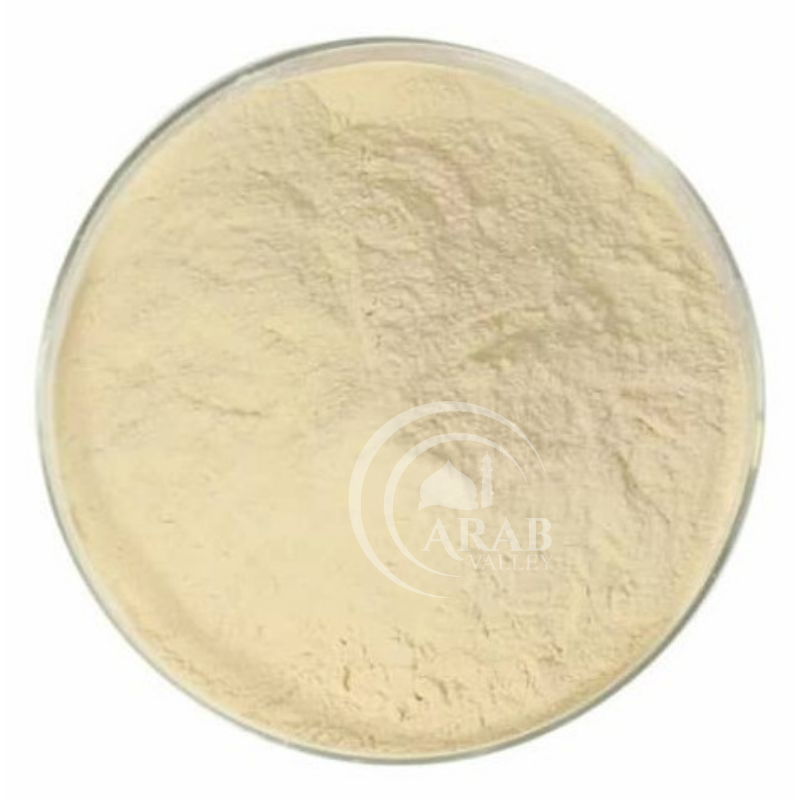 Gum Arabic Powder 100 gram Arab Gum Segera Original from Sudan صمغ عربي ...