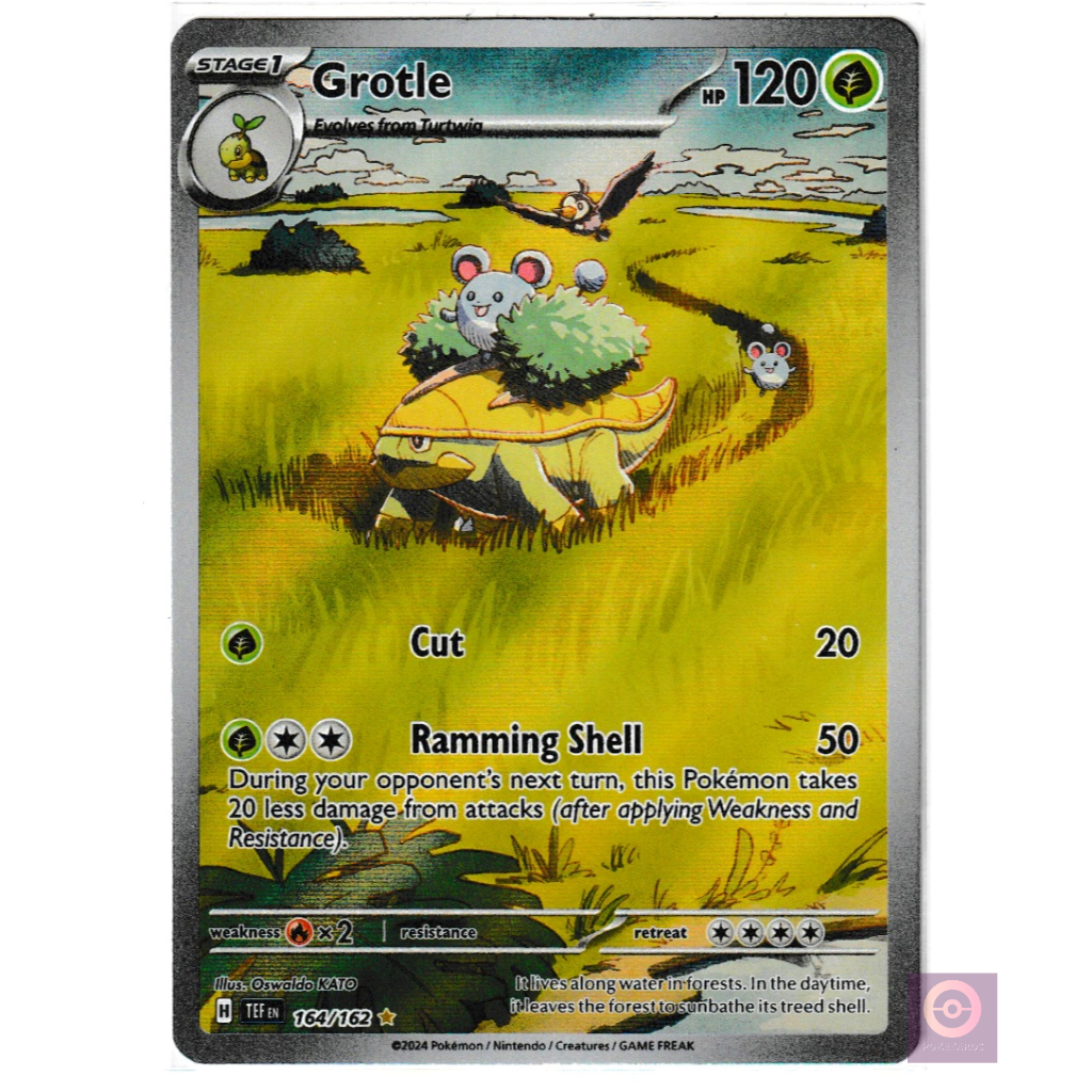 Grotle (164/162) Illustration Rare | SV5 Temporal Forces [Pokemon TCG ...