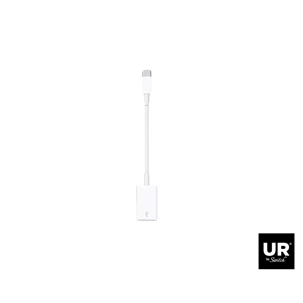Apple USB-C to USB Adapter | Shopee Malaysia