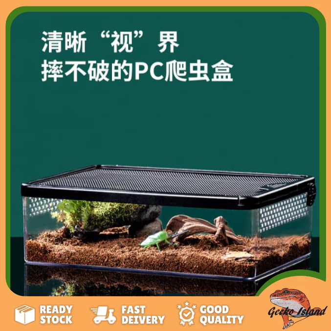 Reptile Tank Snake Spider Lizard Scorpion Horned Frog Gecko | Shopee ...