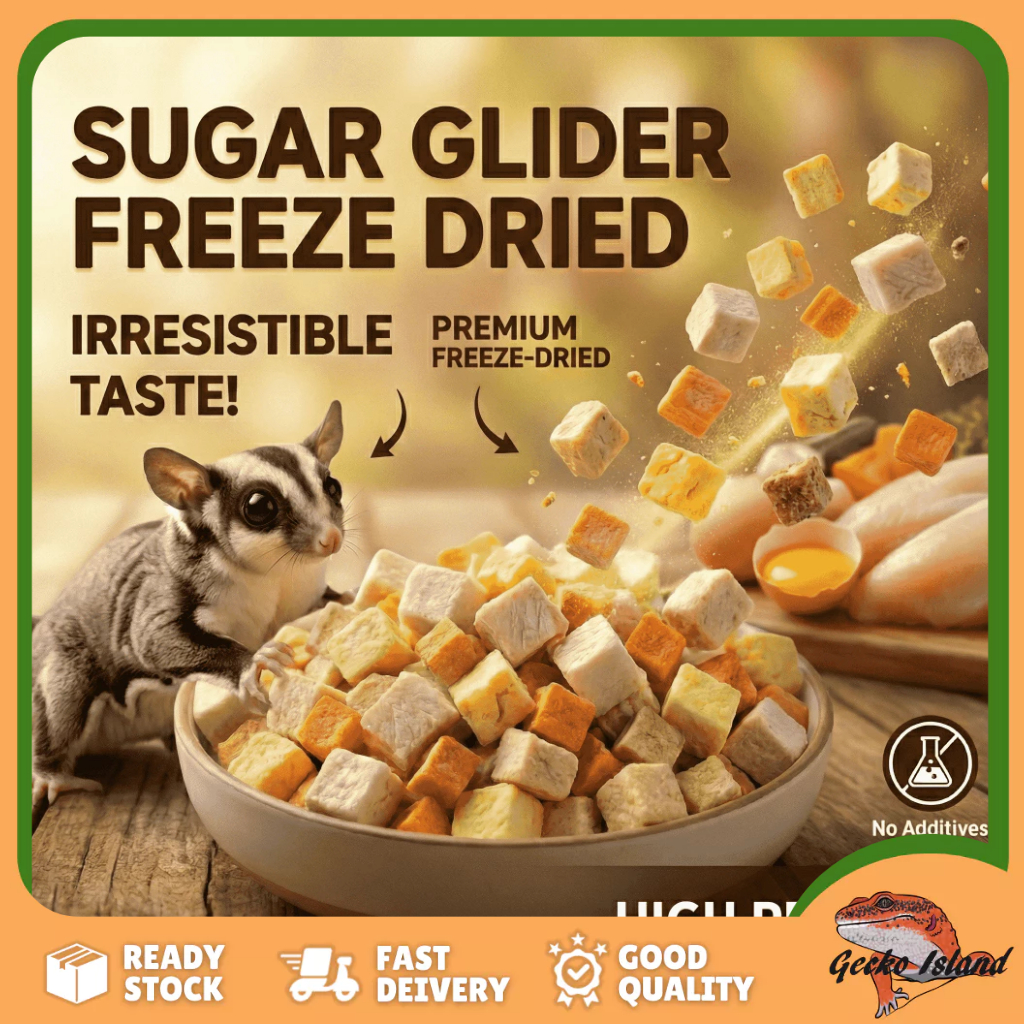 Sugar Glider Freeze Dried Treats Chicken Cube Egg Yolk Cheese Cube ...