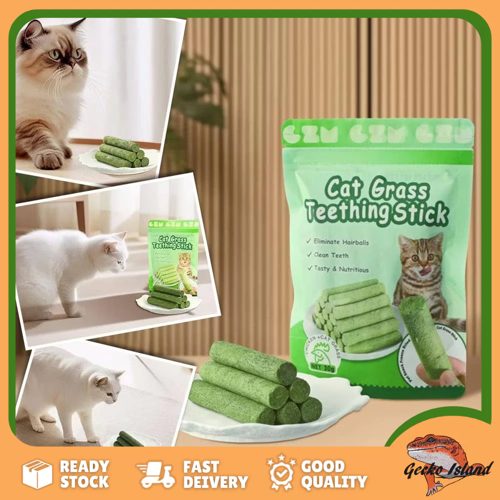Cat Grass Teething Stick Freeze-Dried Cat Treats For Hairball Removal ...