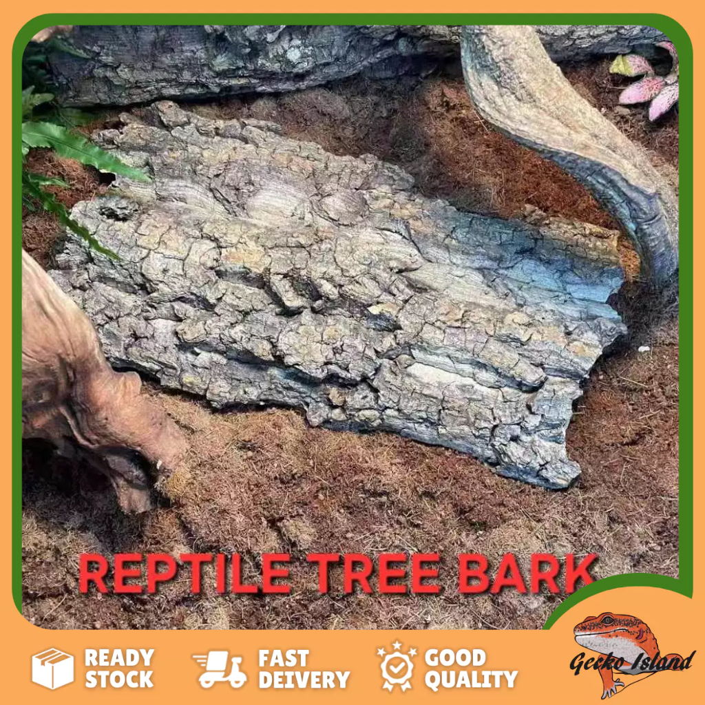 Reptile Bark Bedding Natural Cork Habitat Tree Bark Spider Wood ...