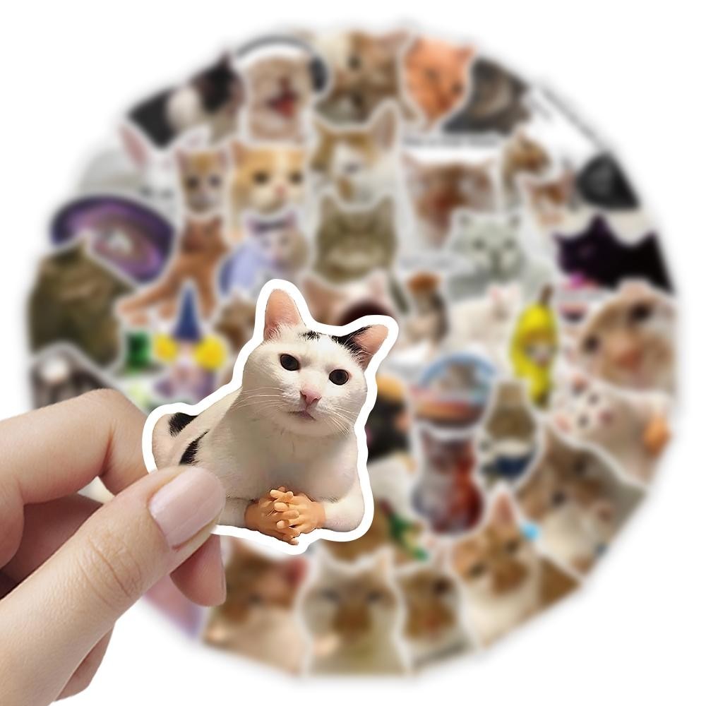 Funny Cat Meme Stickers: 100-Pack Cartoon Decals for Laptops, Phones, iPads & Journals (50 ...