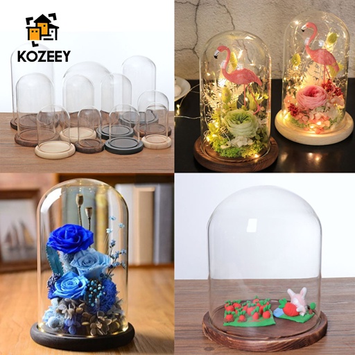 [meteor] Decorative Glass Cloche Bell Jar Dome with Wooden Base Display ...