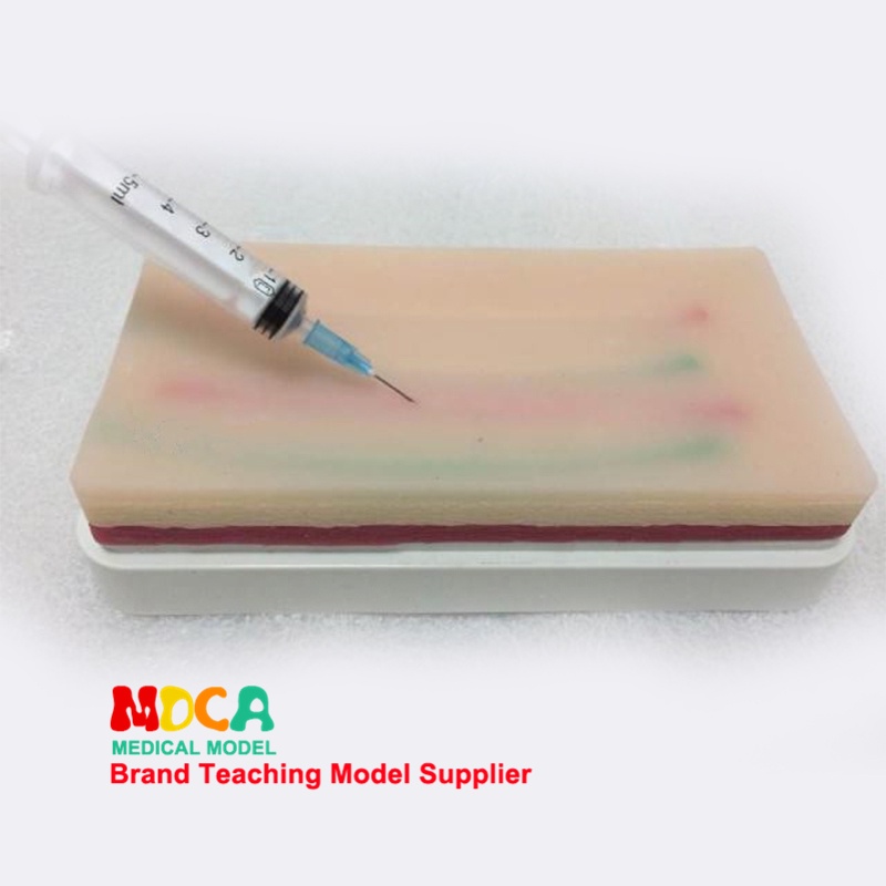 Venipuncture Module Simulates Human Skin Injection Training ...