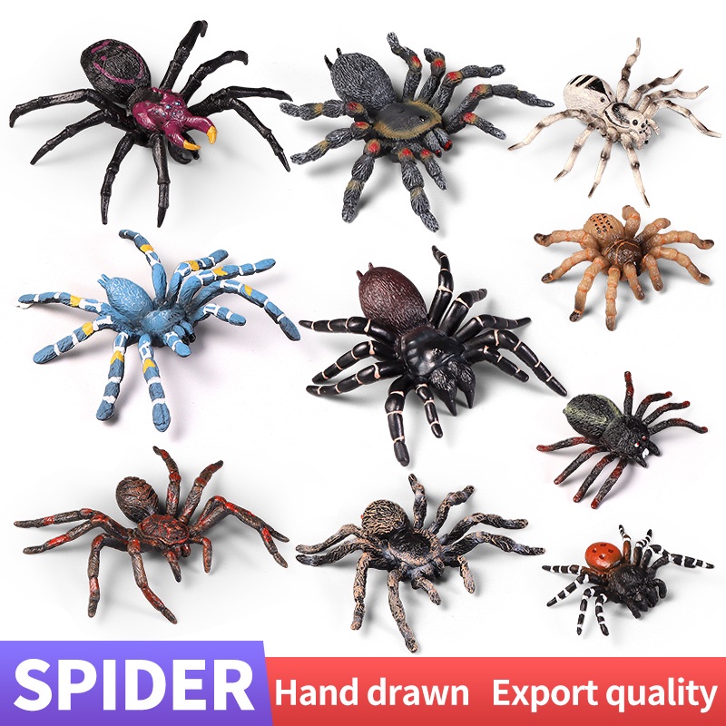 Simulation Insect Model Children's Tricky Toy Animal Funnel spider ...