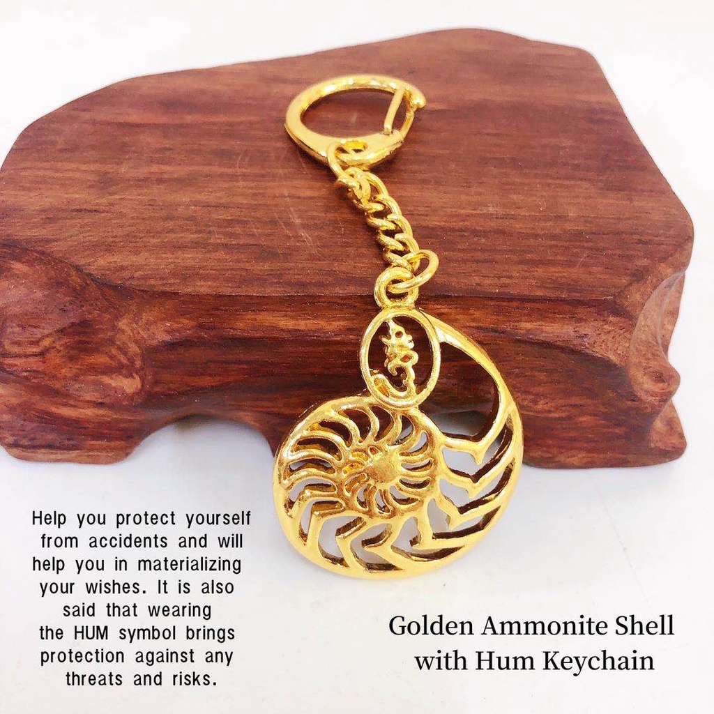 Fengshui Golden Ammonite Snail Shell Amulet | Shopee Malaysia