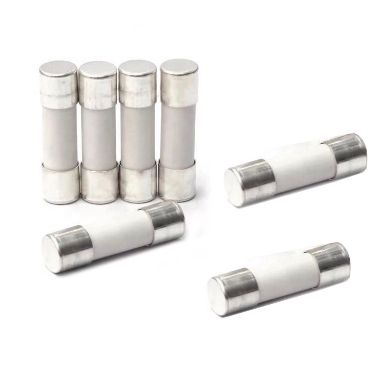 10pcs 5 * 20mm 6x30mm Ceramic Tube Fuses Fast Slow Fuse 250V 0.5A 1A 1.5A 2A 2.5A 3A 4A 5A 6.3A ...