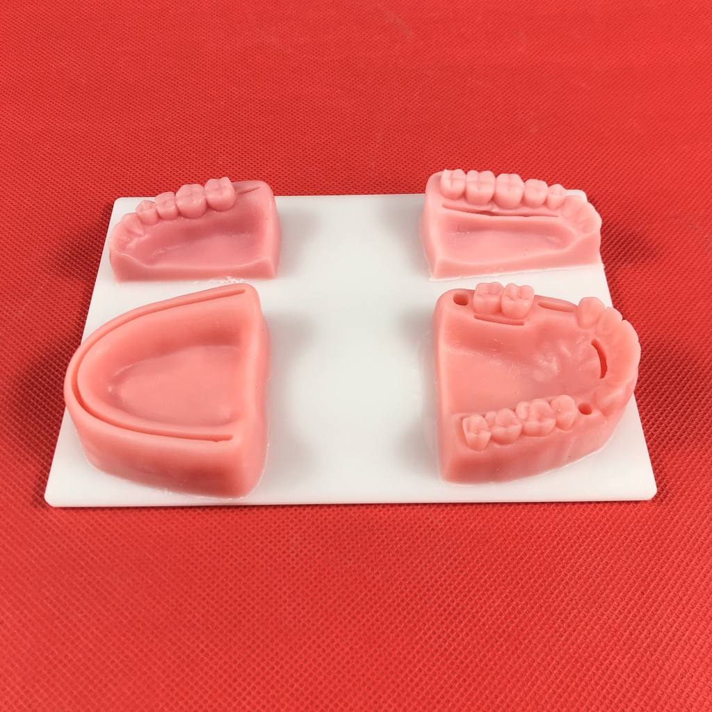 Dental Oral/Gum suture training module silicone periodontitis suture ...