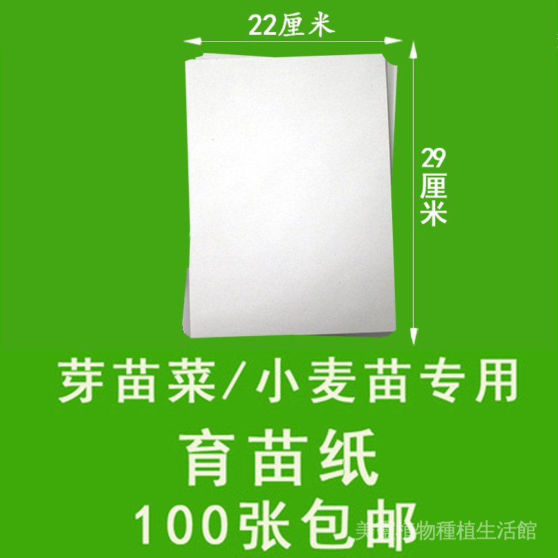 Sprout Seedling Seedling Paper Wheat Seedling Germination Planting ...