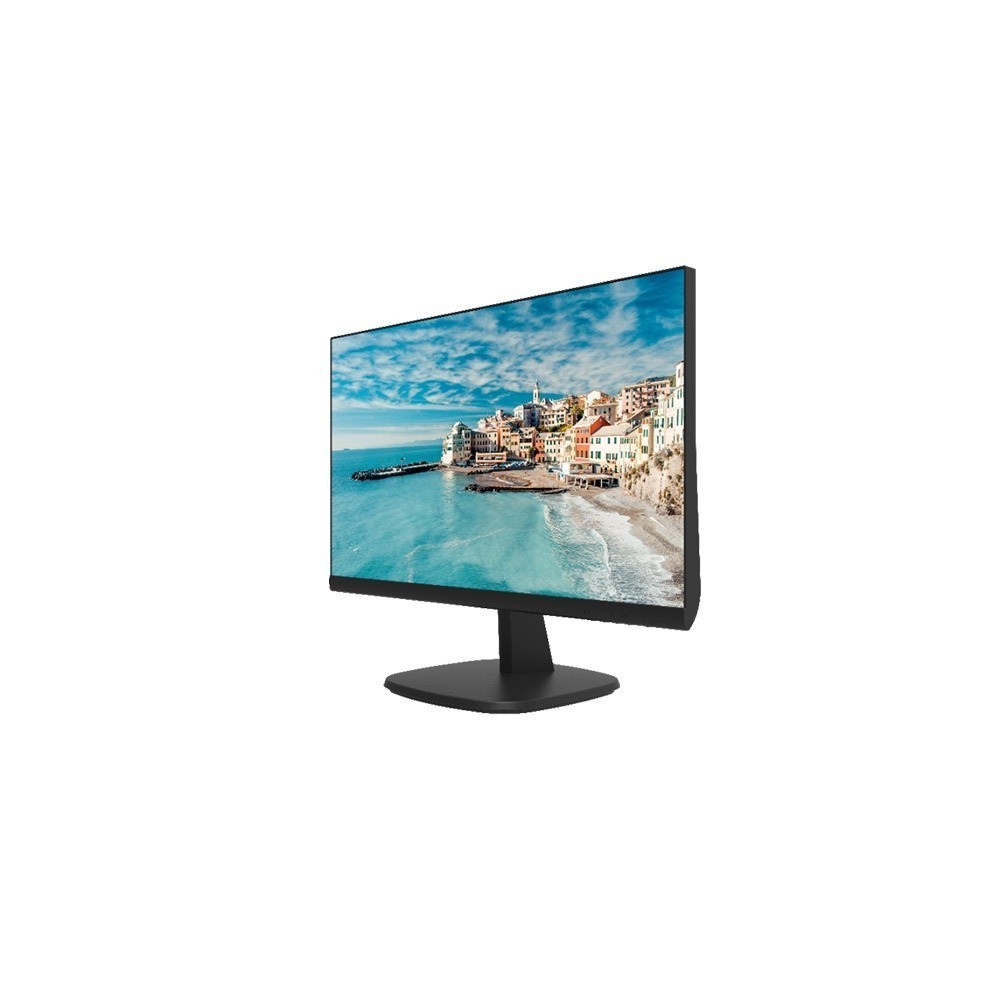 Hikvision DS-D5024FN 23.8 inch FHD Borderless Monitor | EJDalanon ...