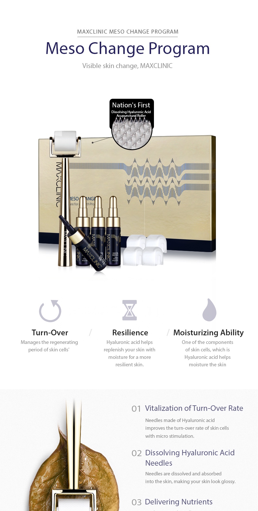 [MAXCLINIC OFFICIAL] Meso Change NTS Program (Full Set) | NTS: Neo-tingle patch roller program ...