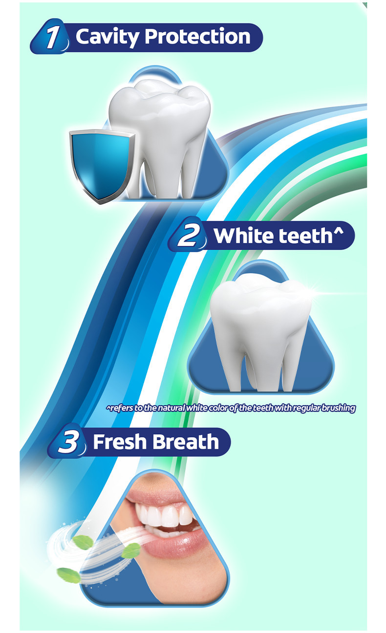 Colgate Triple Action Anti-Cavity Family Toothpaste Mint 193g | Shopee ...