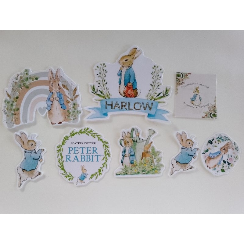 Peter Rabbit Cake Topper (Personalized) | Shopee Malaysia
