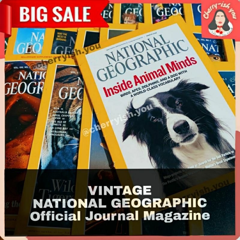 NATIONAL GEOGRAPHIC MAGAZINES (1976 - 1999) VINTAGE/BACK ISSUE: Best Asia/World Discovery ...