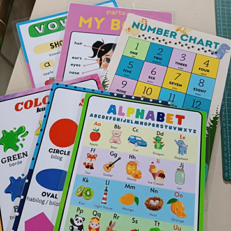 EDUCATIONAL CHART LAMINATED A4 size | Shopee Malaysia
