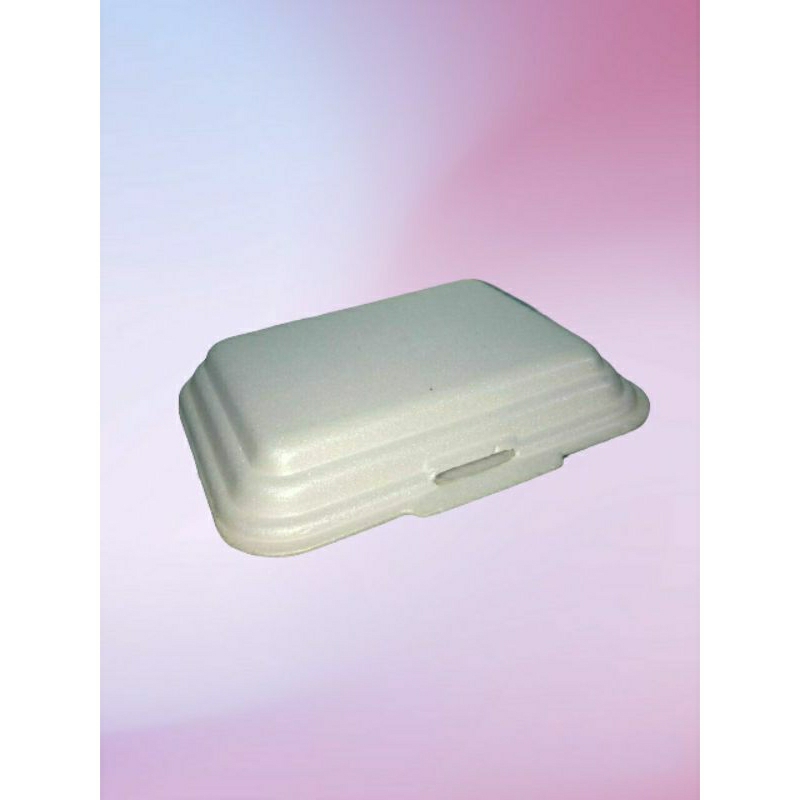 Disposable Styro Spaghetti Box 50 pcs, 100 pcs | Shopee Malaysia