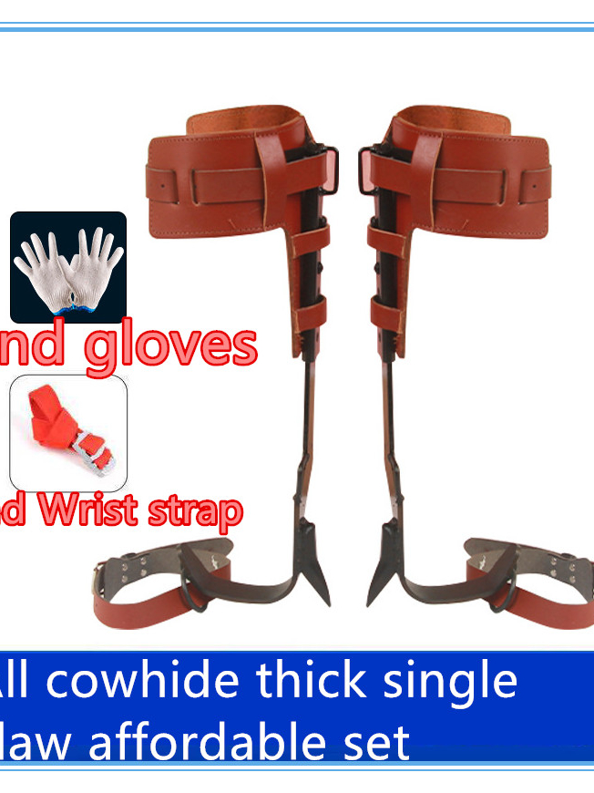 Hot Tree Climbing Tool with Belt Tree Climbing Equipment Durable Pole ...