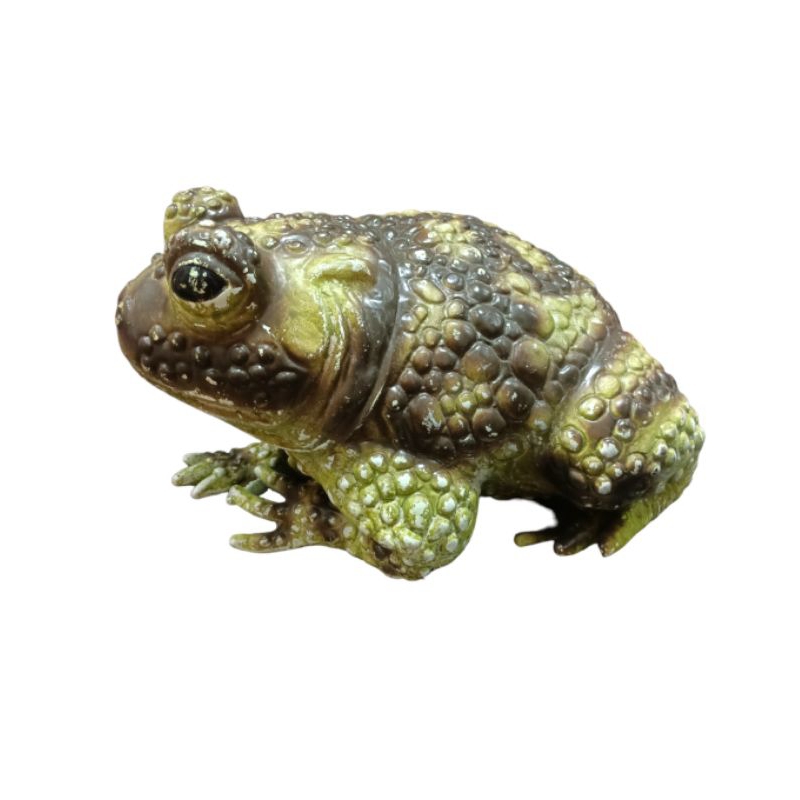 10" Giant Cottage Core Realistic Frog Toad Garden Prop Decoration ...