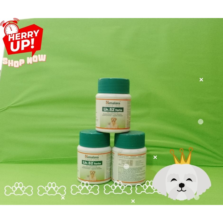 Himalaya Liv 52 Forte Vet Tablets for Liver Care of Dogs and Cats (60 ...