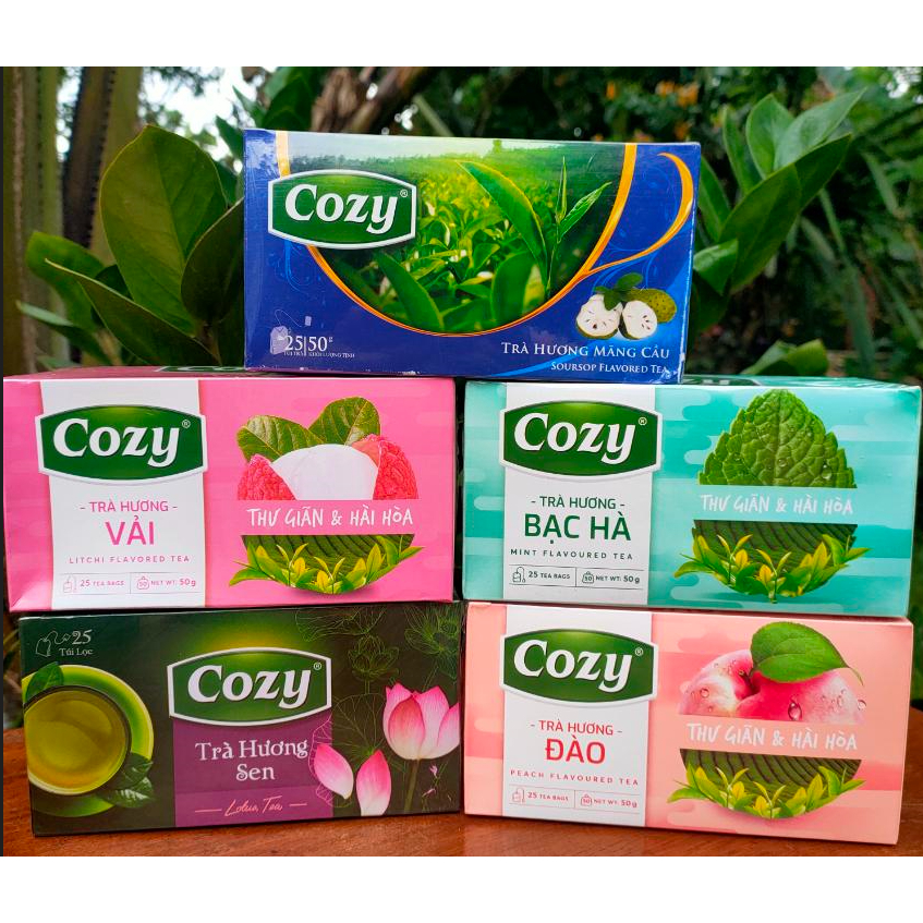 COZY TEA VIETNAM FLAVORED FAVORITE TEA (25 tea bags x 2g) | Shopee Malaysia