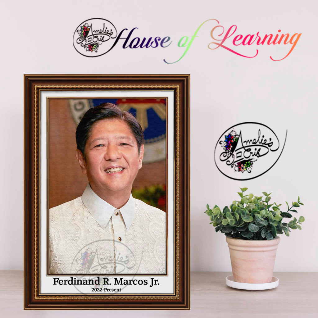 Deped Vision, Mission and Core Values Educational Laminated Chart A4 ...