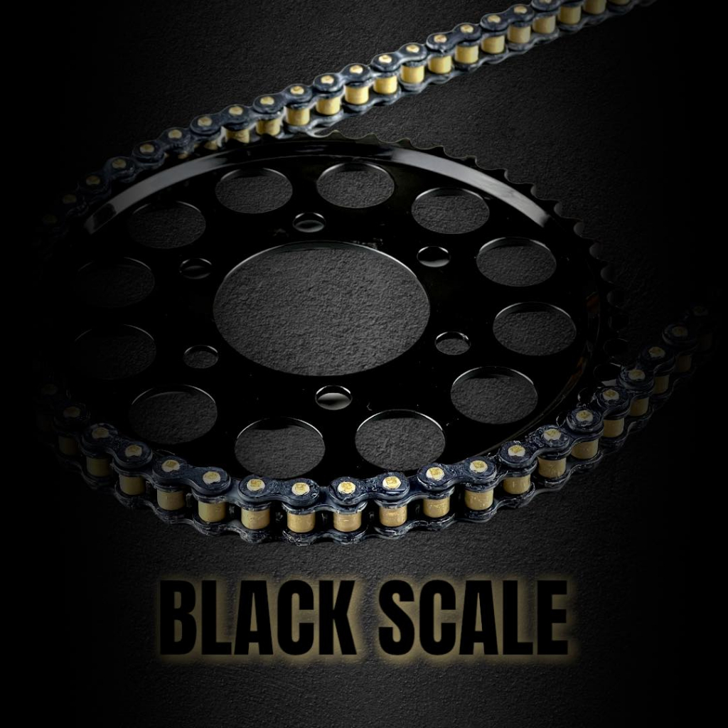 RK BLACK SCALE CHAIN SUPER HEAVY DUTY CHAIN 415HSBT 132L / 428HSBT 132L ...