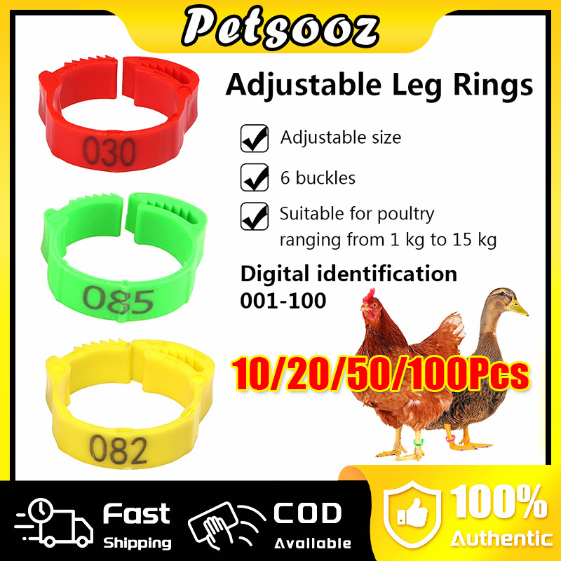 Chicken leg ring Adjustable Leg band Poultry feet tag for gamefowl ...