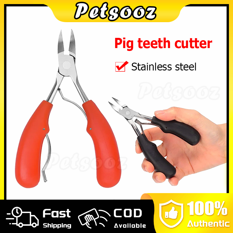 Stainless steel Pig tooth cutter Piglet teeth nipper clipper Cutting ...