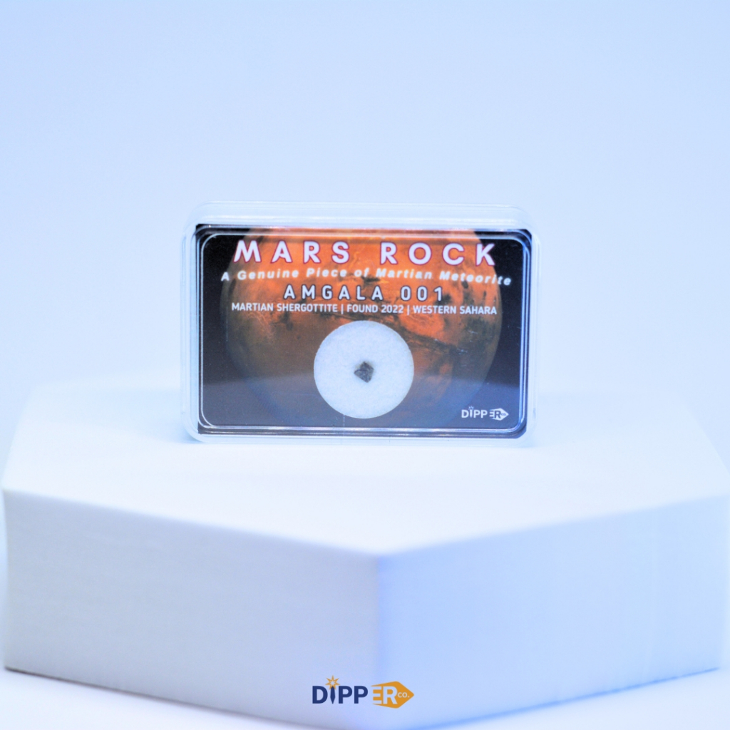 MARS ROCK - (Authentic Martian Meteorite) AMGALA 001 on Dispay Case ...