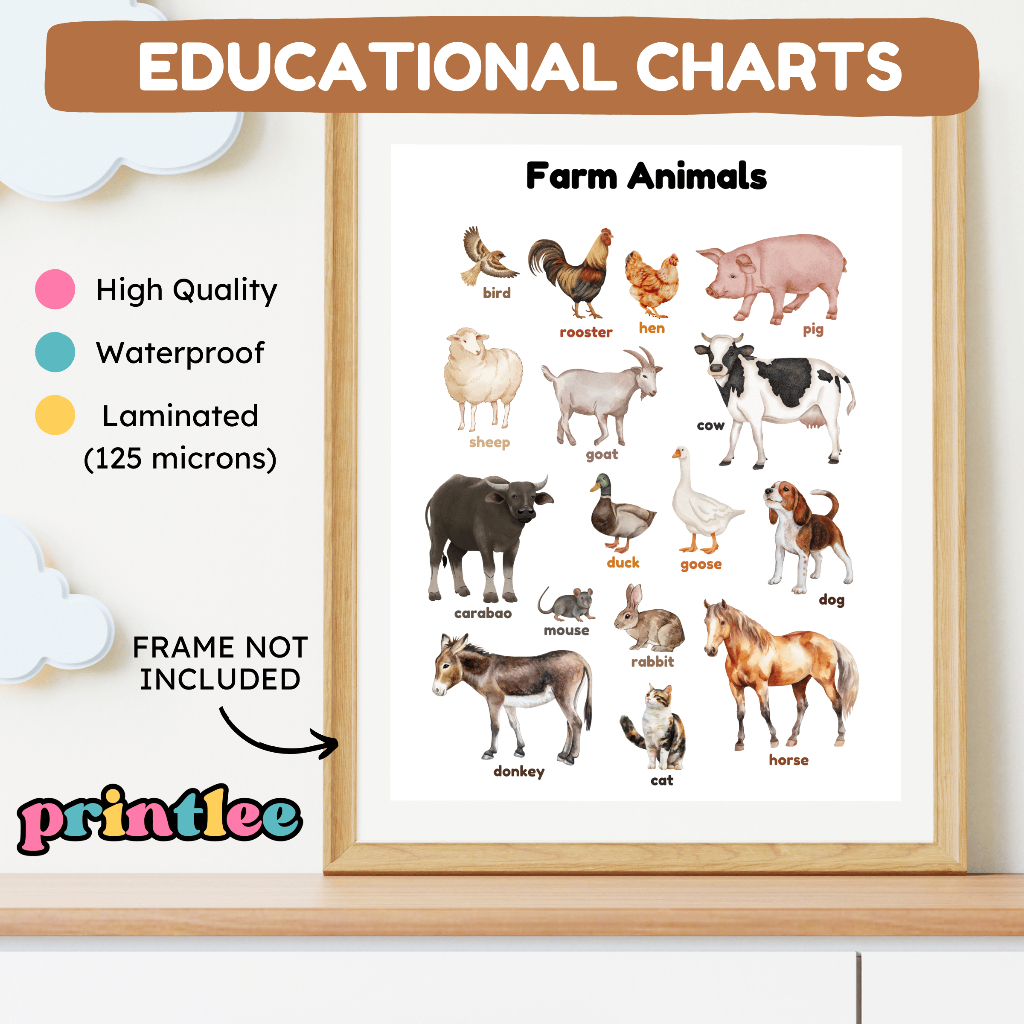 Animals Educational Wall Charts for Kids (with freebies!) A4 Laminated ...