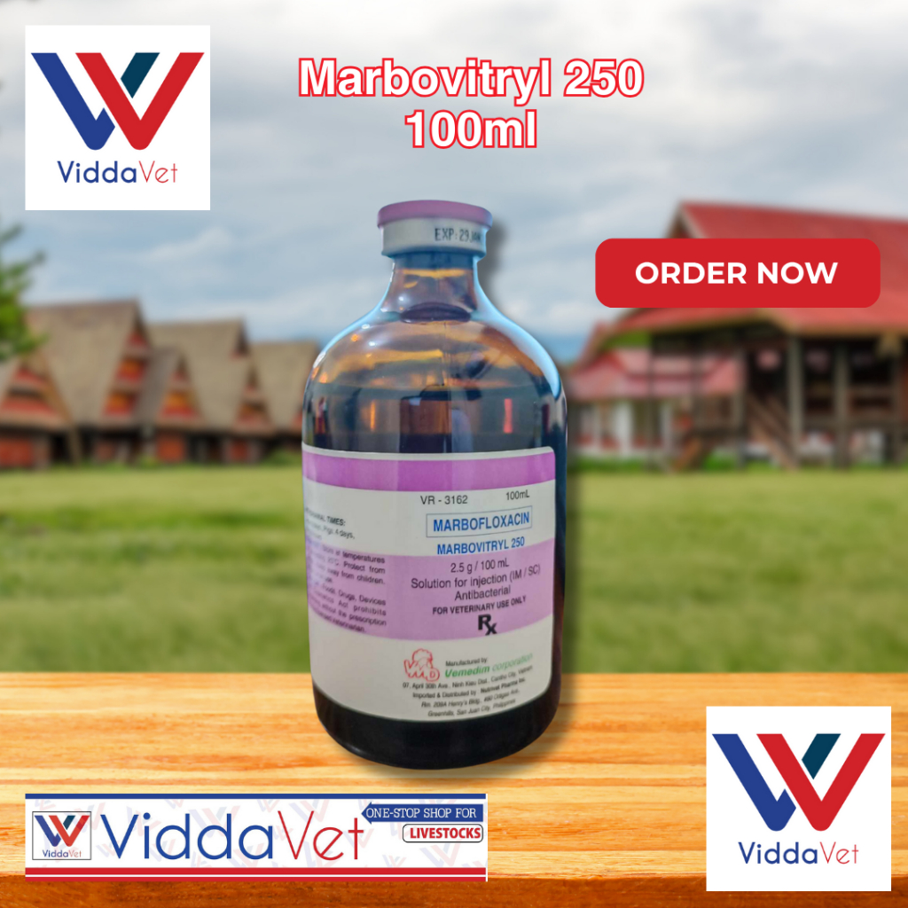 Marbofloxacin 100ml Marbovitryl for animals | Shopee Malaysia