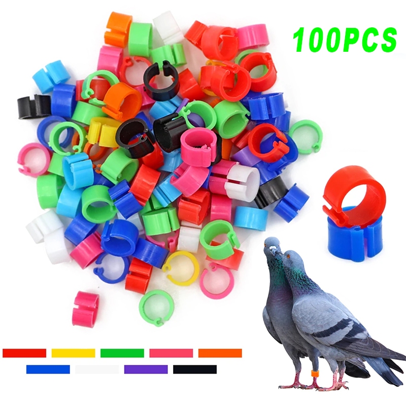 100Pcs Mixed colors Plastic Pigeon Clip Ring 8mm Identification Foot ...