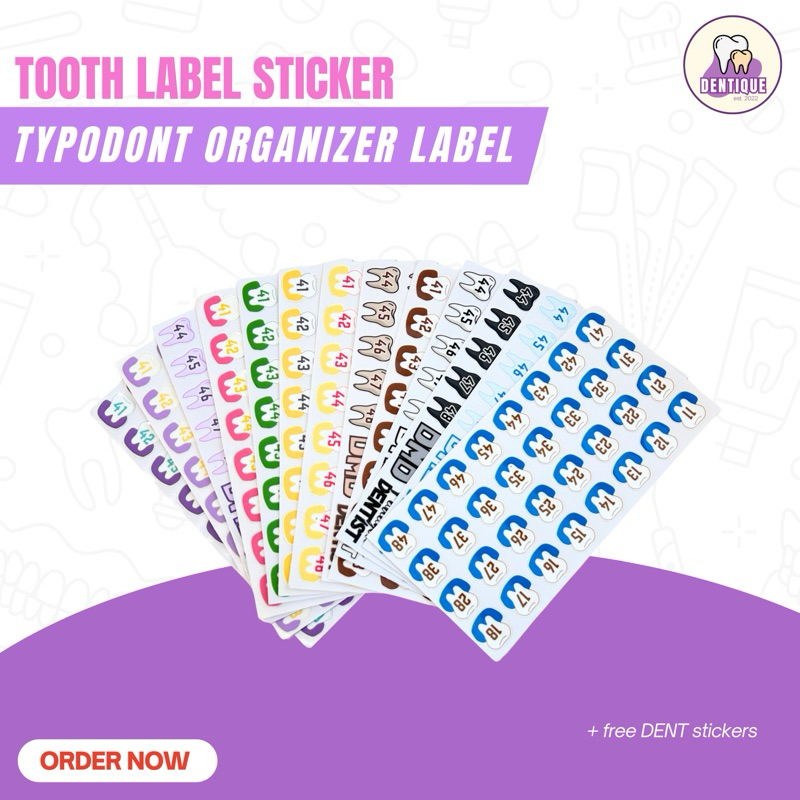 TYPODONT ORGANIZER LABEL STICKERS ONLY ( including the 3rd molars ...